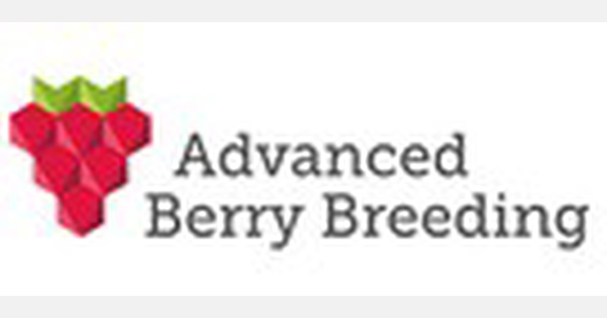 Advanced berry breeding platform acquired by Planasa Shareholders