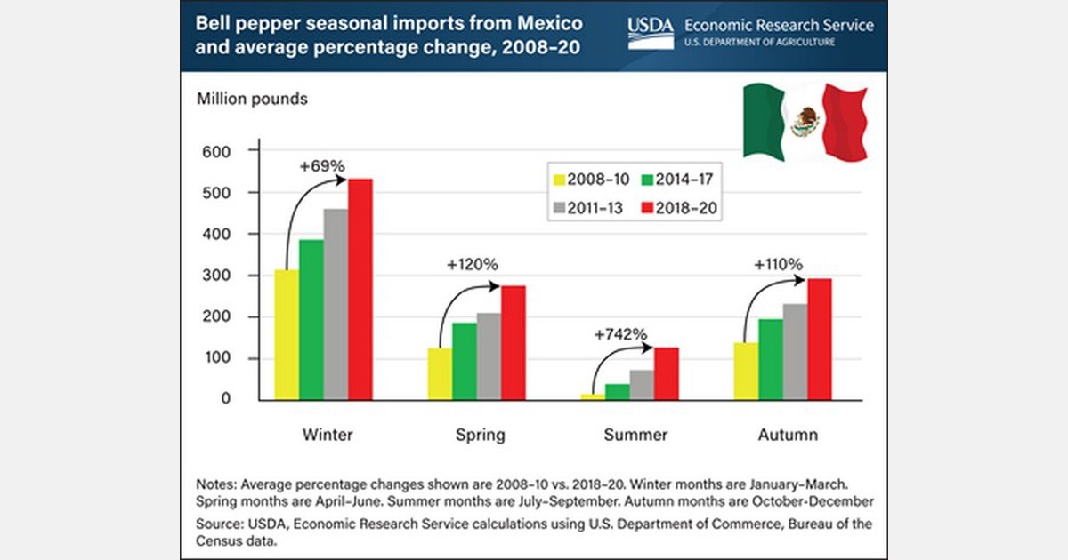 Imports of bell peppers from Mexico grow as marketing window for U.S ...