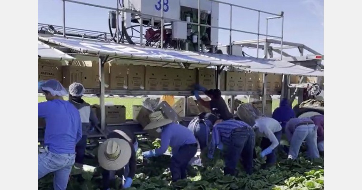 Western Growers calls on U.S. Senate to pass farm workforce ...