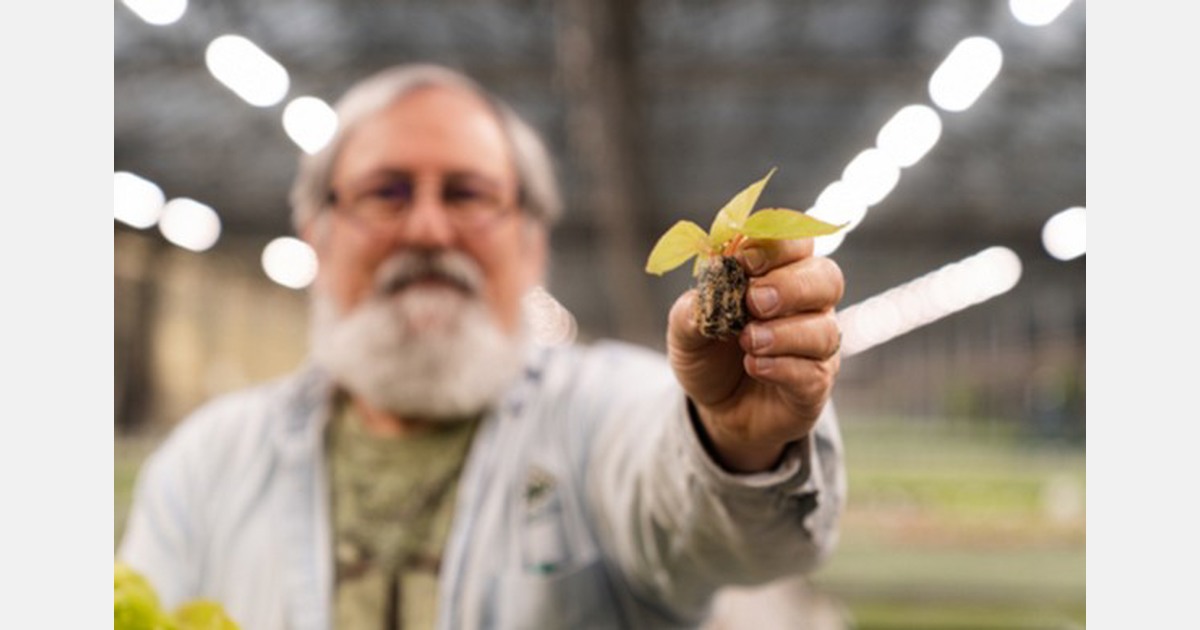 A solution for nurseries to combat plant pathogens and reduce mortality