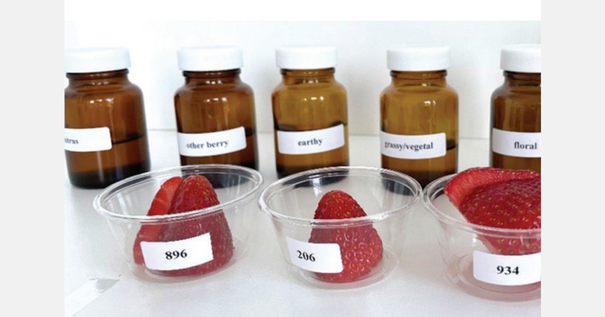 Defining the sensory profiles of fresh berries