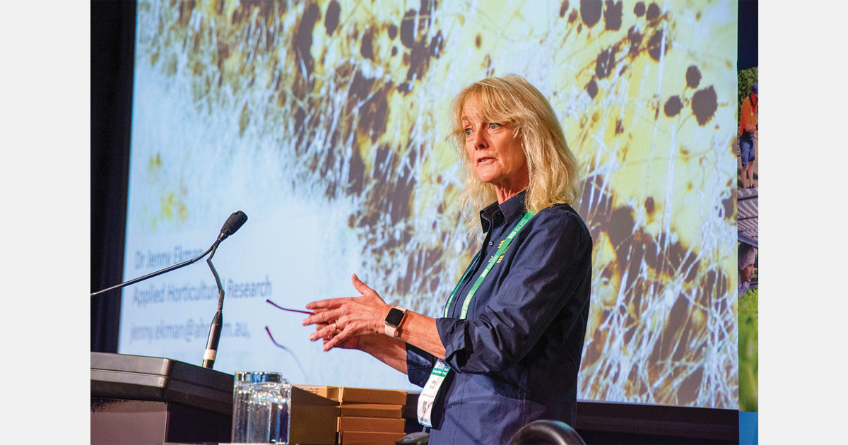 Tackling internal fruit rot in capsicum