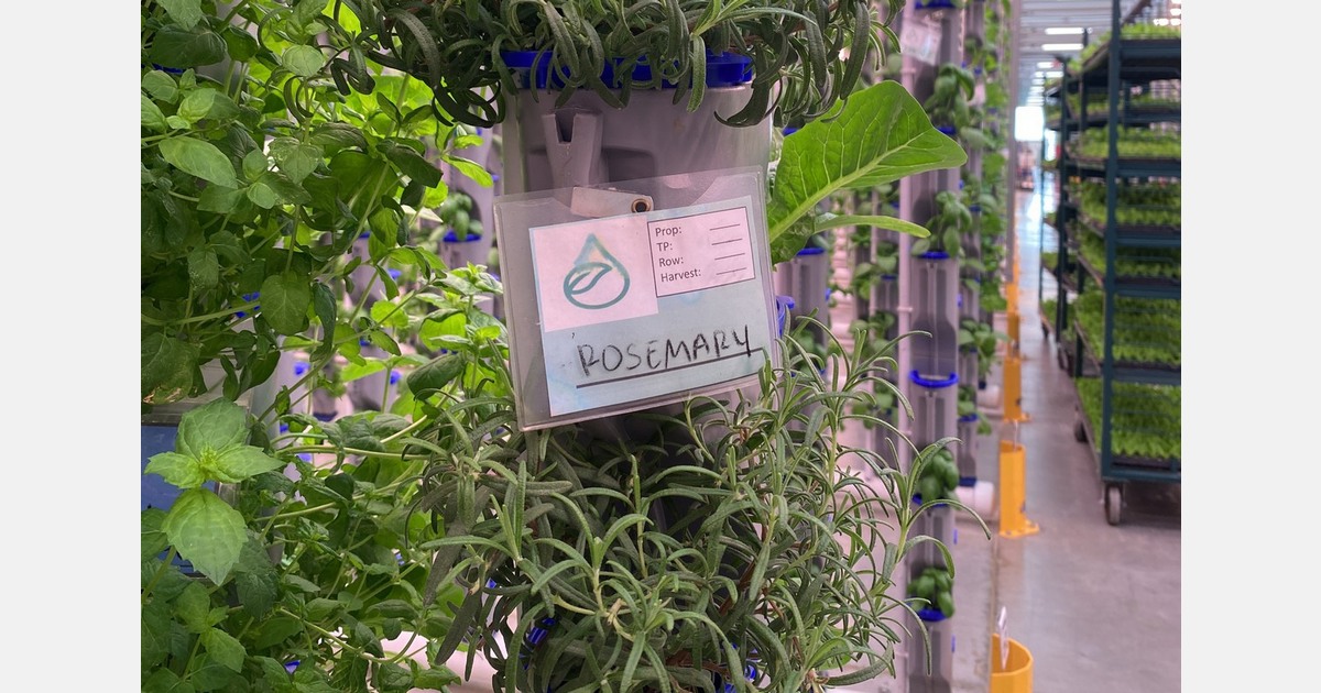 Flexible microclimate tech allows multiple herb varietals to be grown ...