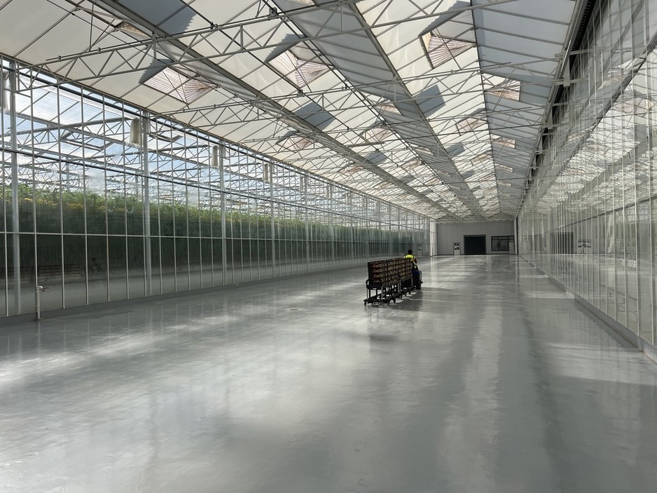 Saudi Arabia's Minister visits Dava Greenhouse