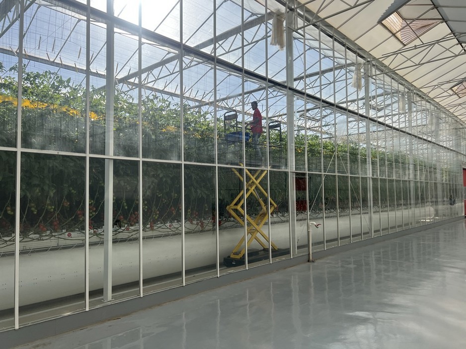 Saudi Arabia's Minister visits Dava Greenhouse