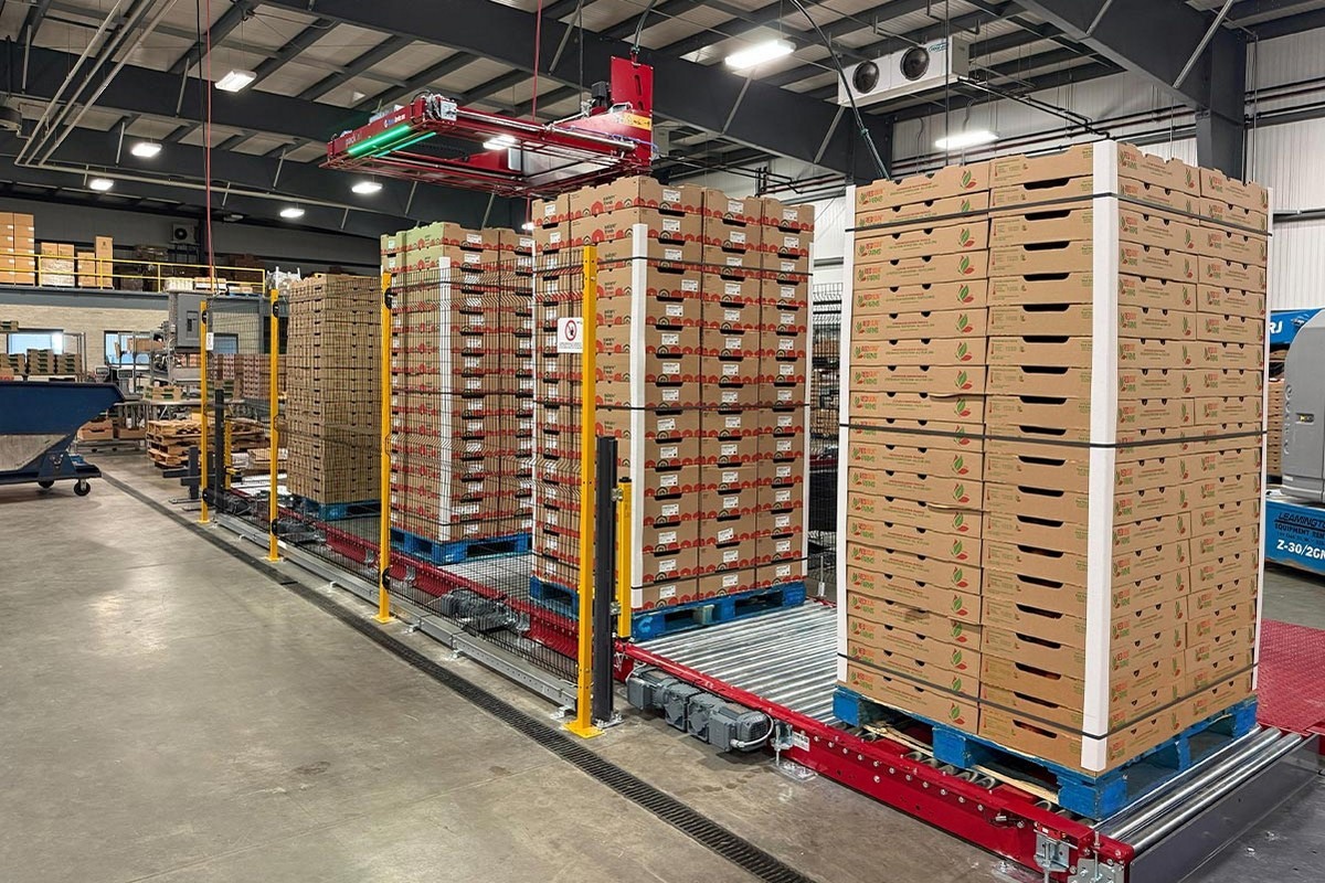 "The packaging line is ideal for large scale tomato packaging"