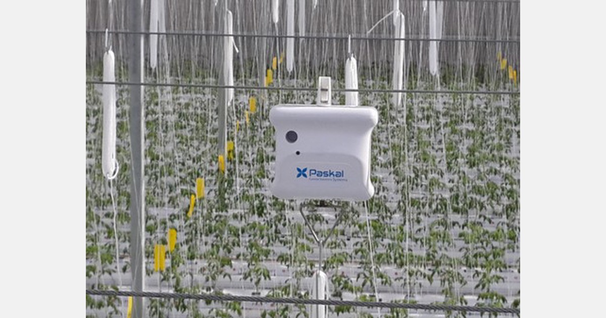 Study on Paskal's Growth Analysis System