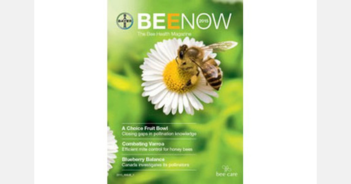 Partnering is key to improve bee health