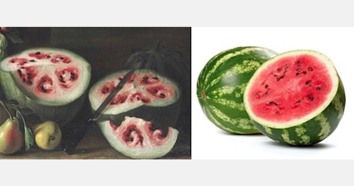 Six everyday fruits and vegetables before and after humans changed them