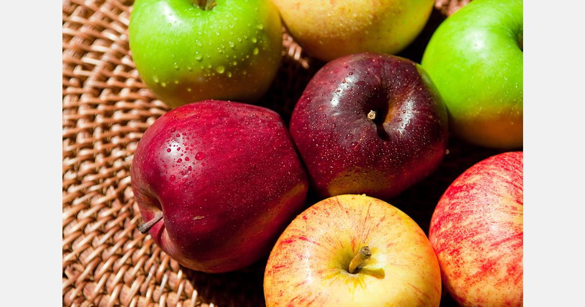 EU apple campaign boosts demand and trade ties in Egypt