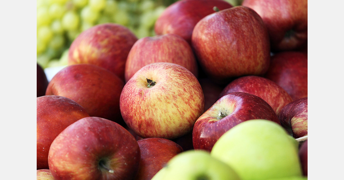 Brazil apple output up to 850,000 tons