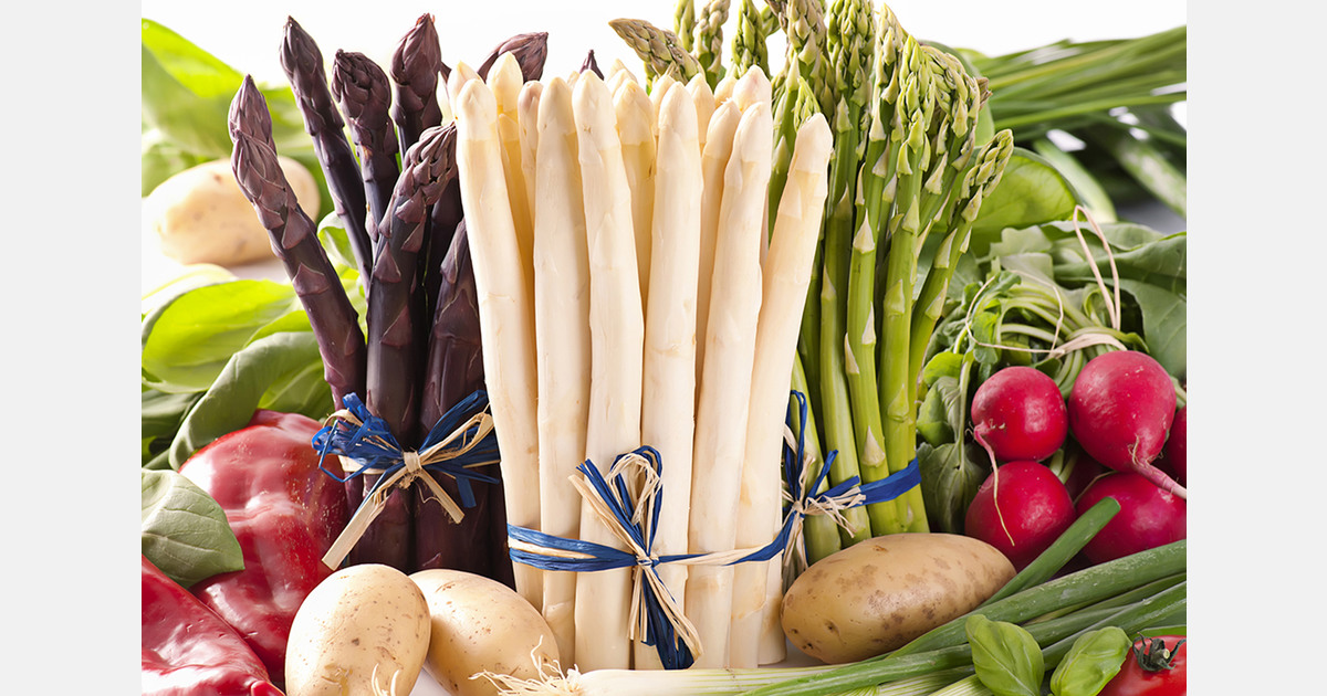 Race to harvest 'the queen of veggies' in New Zealand