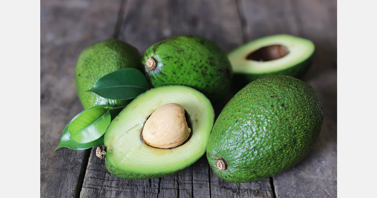 Shepard avocados offer seasonal alternative to Hass in Australia