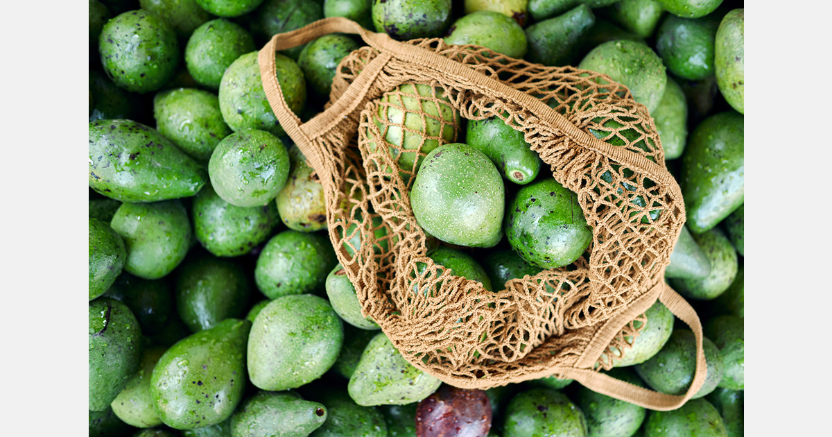 US and Mexico reach agreement on avocado certification