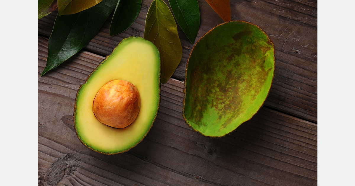 California producers ask the USDA to reactivate Mexican avocado ...