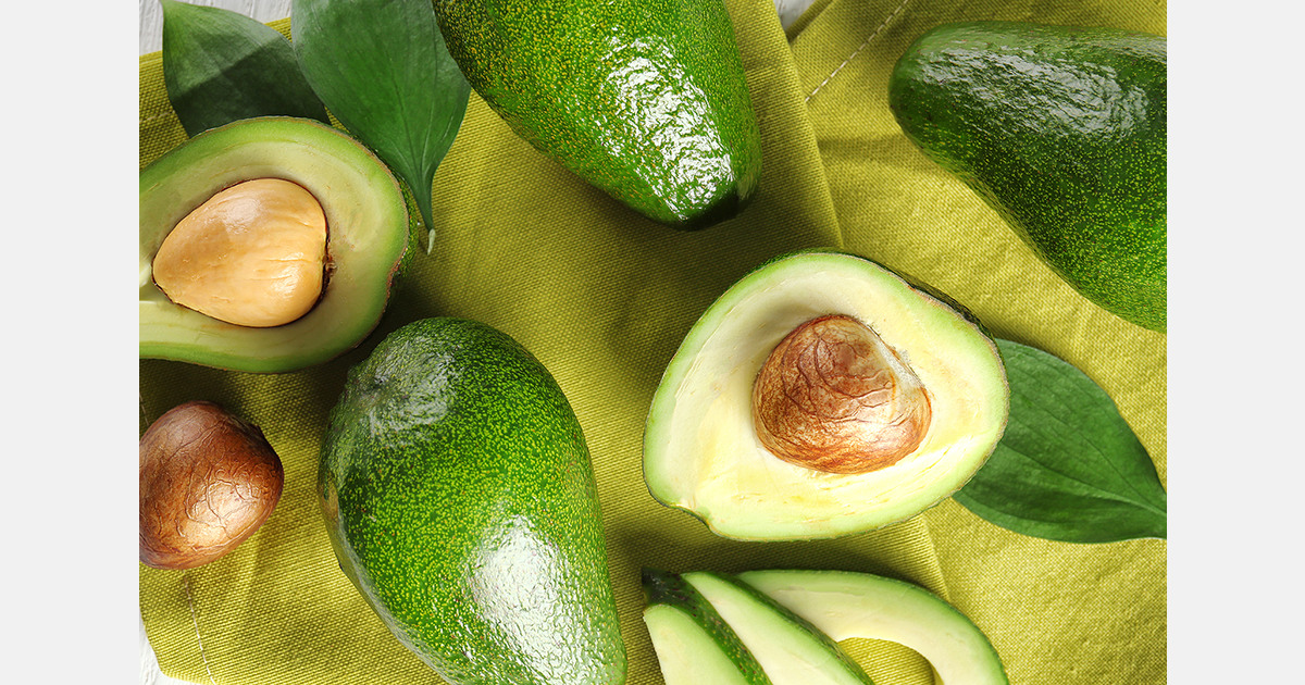 Zimbabwe avocado producers to join South African exporters in China ...