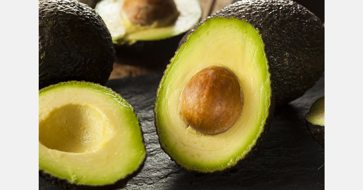 Guatemala's Hass avocado is making progress in the clearance for export ...