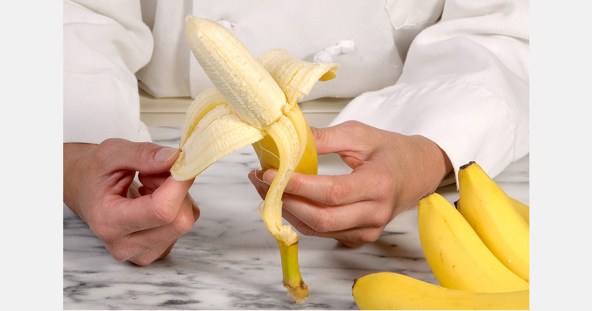 Non-browning banana gets GMO exempt status in the Philippines