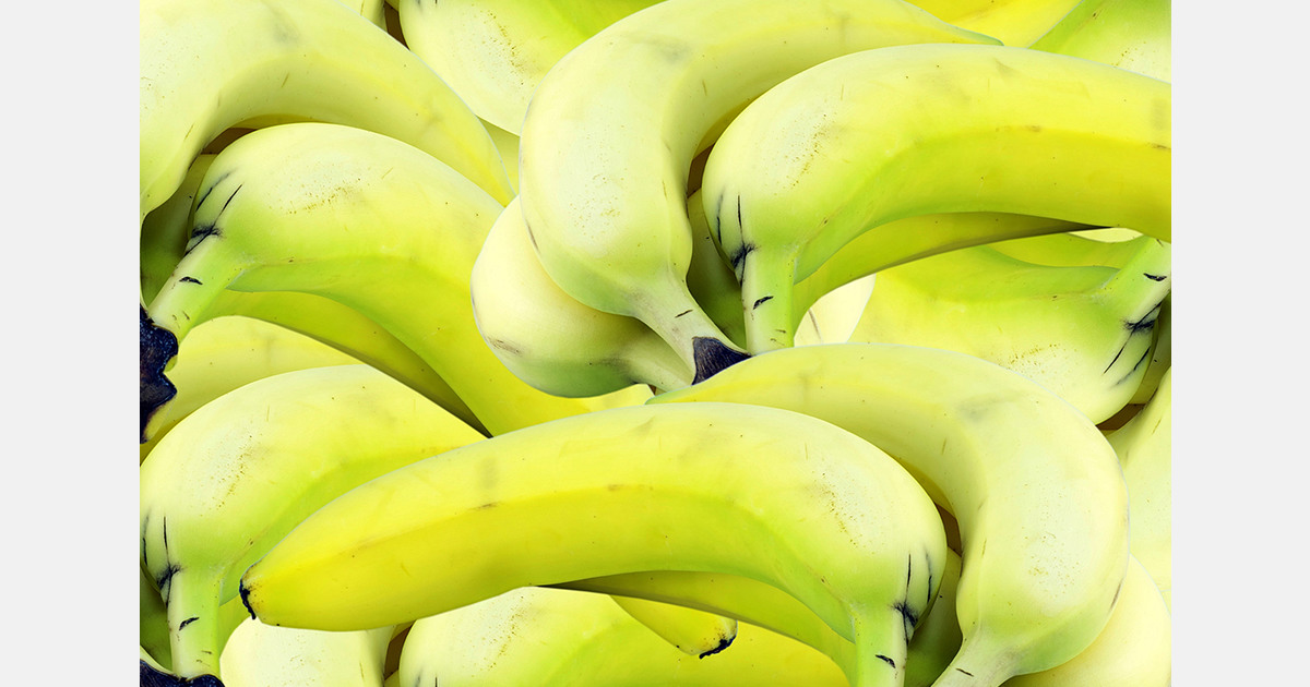 Peruvian banana exports continue to decline