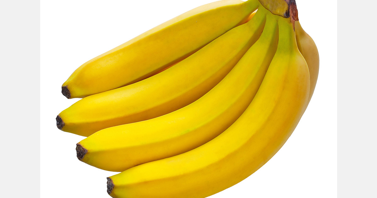 Vietnamese bananas gain traction in Hong Kong