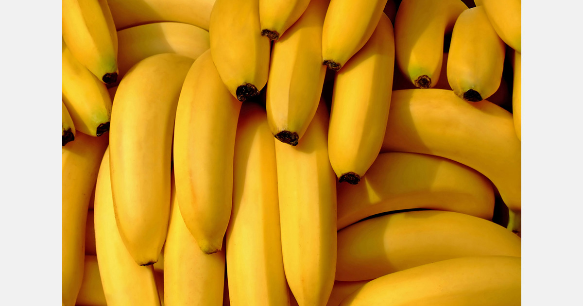 Philippines holds third in global banana exports