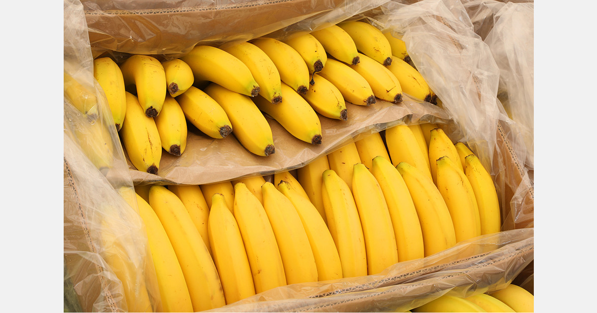 Bananas should be back on the shelves soon, prices expected to ...