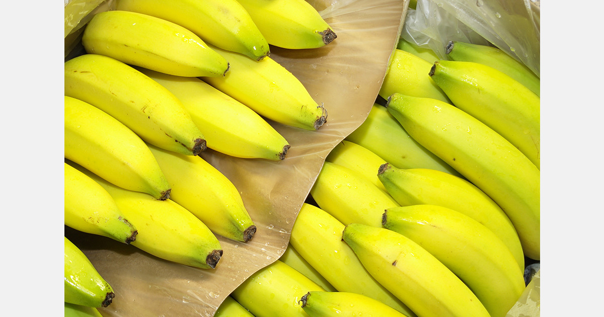 Philippines seeks lower banana tariffs in Japan