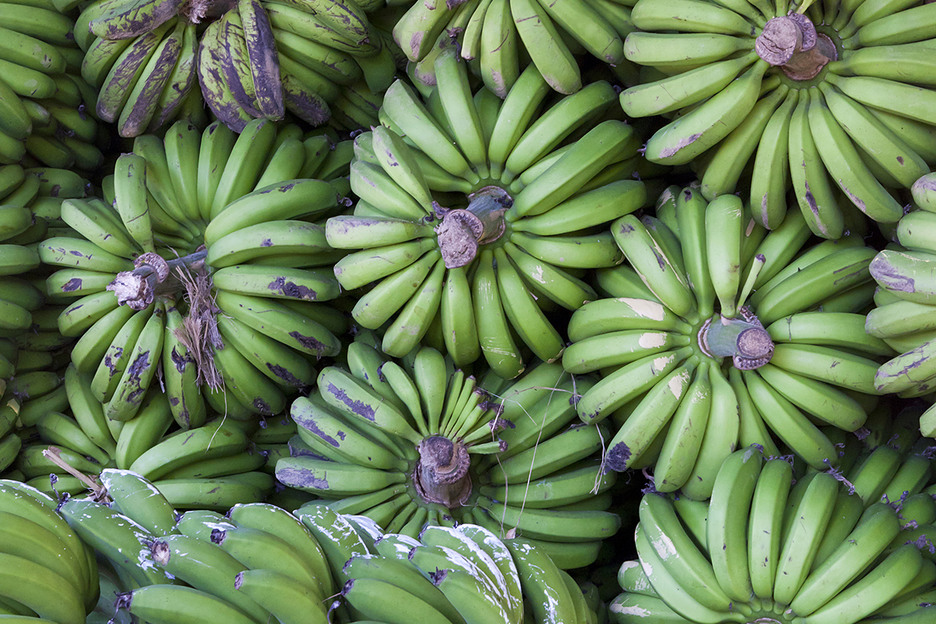Bananas