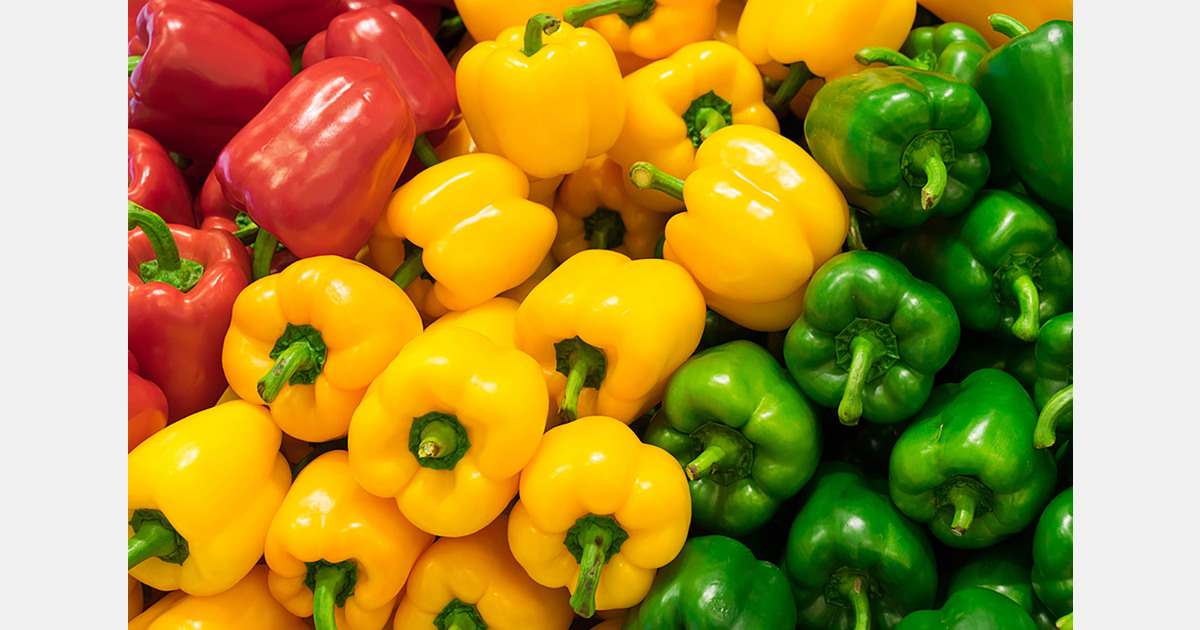 Japan reviews imports of Mexican peppers