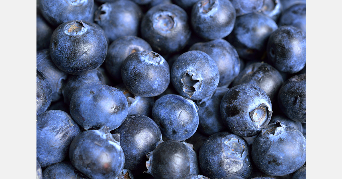 Peruvian blueberries make their debut at Tianjin port in China
