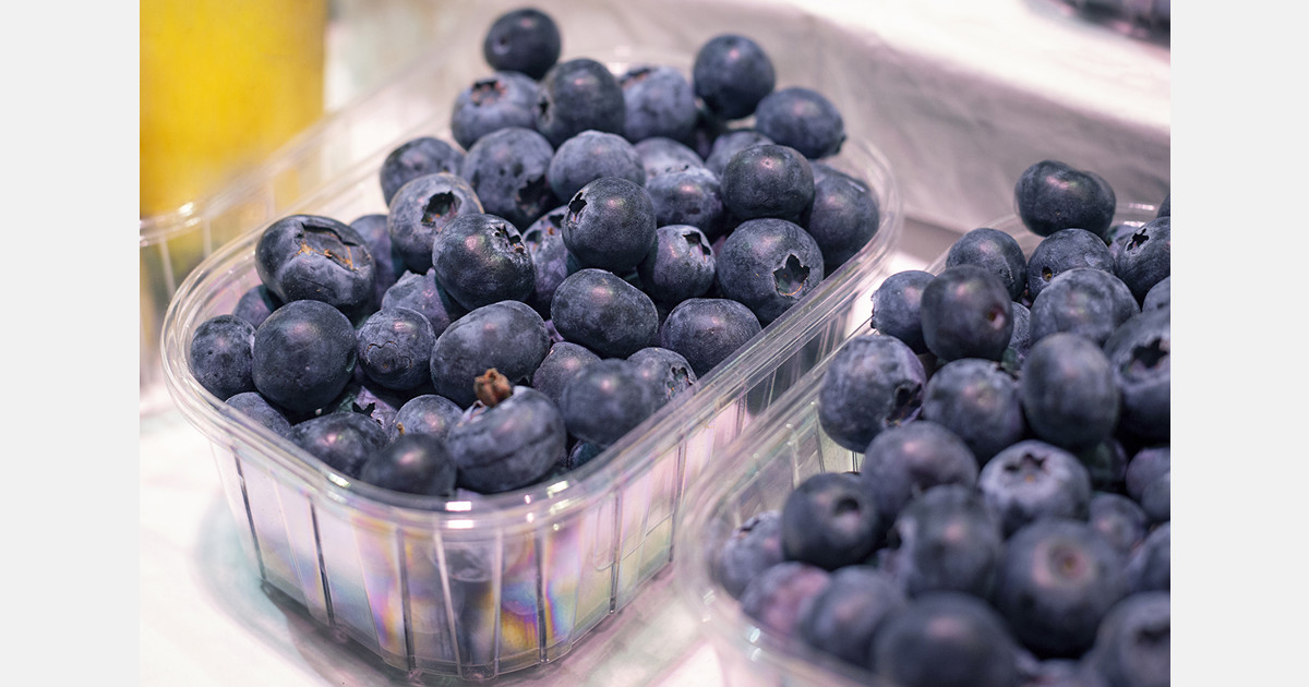 Peruvian blueberries reach new export milestone