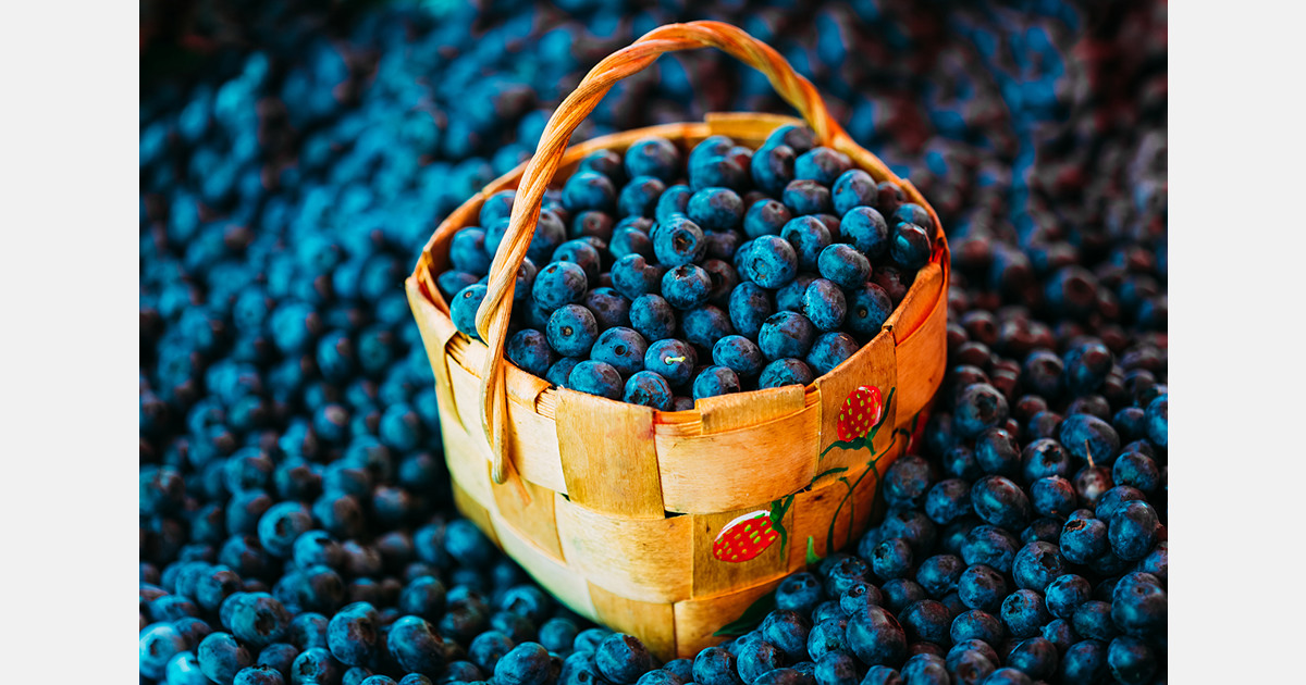 Peruvian blueberries flourish in China following trade agreement
