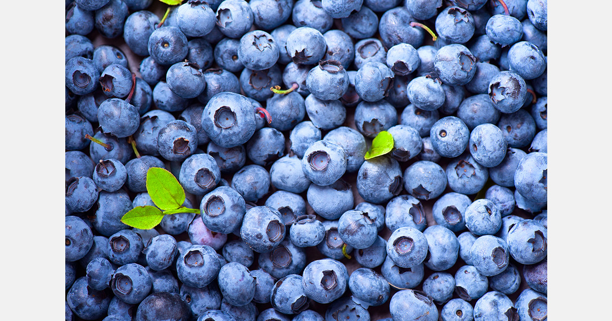 Peru completes first blueberry shipment to China via Port of Chancay