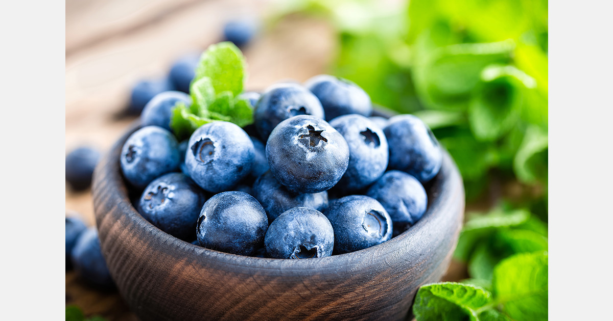 Peruvian blueberry exports hit record $2.1 billion, driven by higher ...
