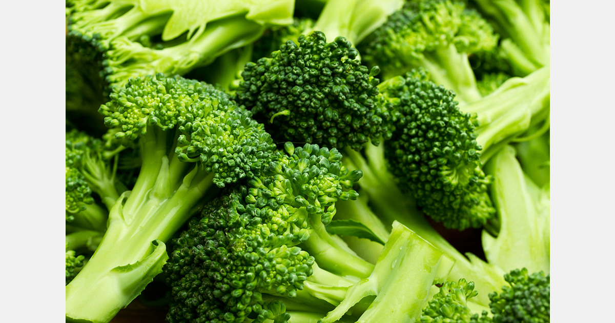 UK broccoli harvest expected three weeks early