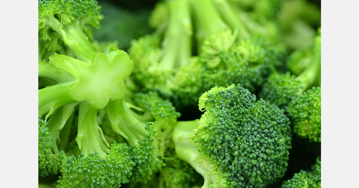 Iceless packaging revolutionizes broccoli transport, cutting costs and ...