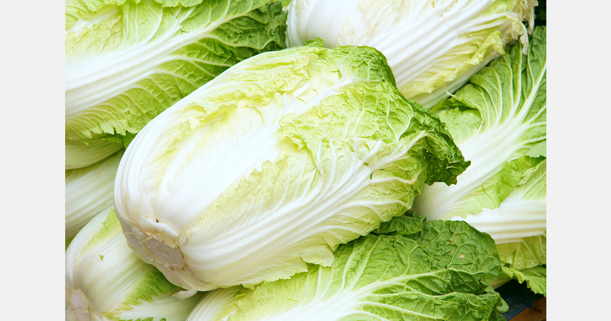 Cabbage prices in South Korea surge 70 percent amid heat wave