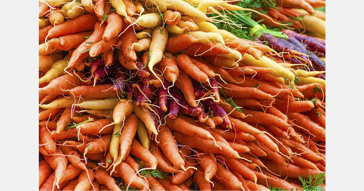 $374,732 smuggled vegetables seized in the Philippines