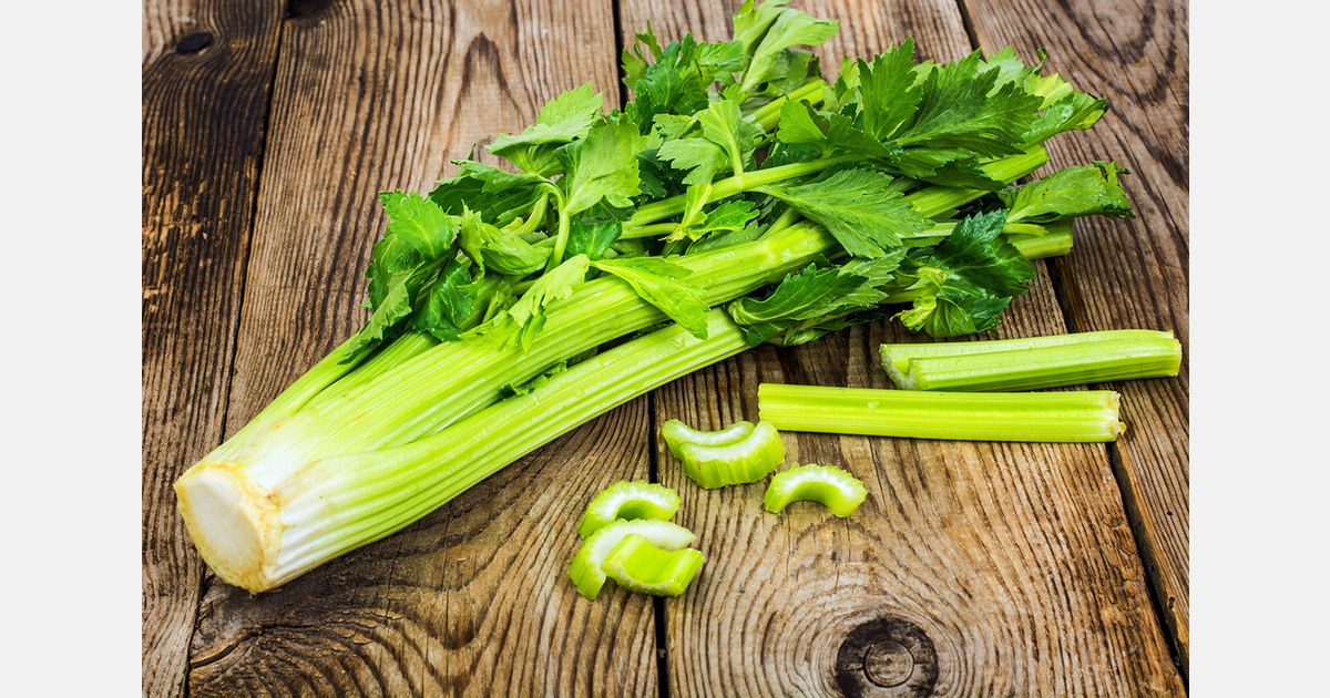 Celery prices take a dive in New Zealand