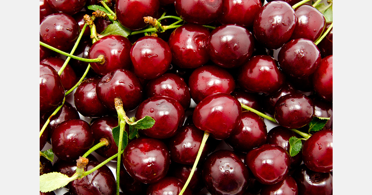 Chinese greenhouse cherries enter Vietnam at $19/kg