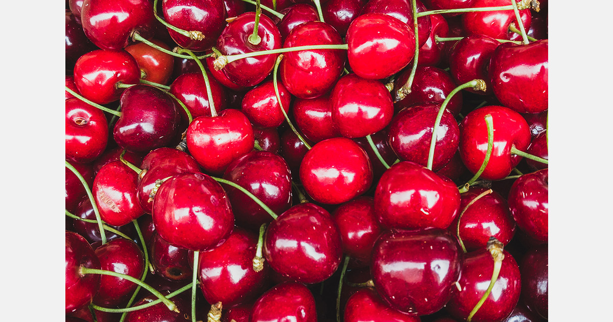 The Port of Valparaiso experiences its biggest cherry export week ever