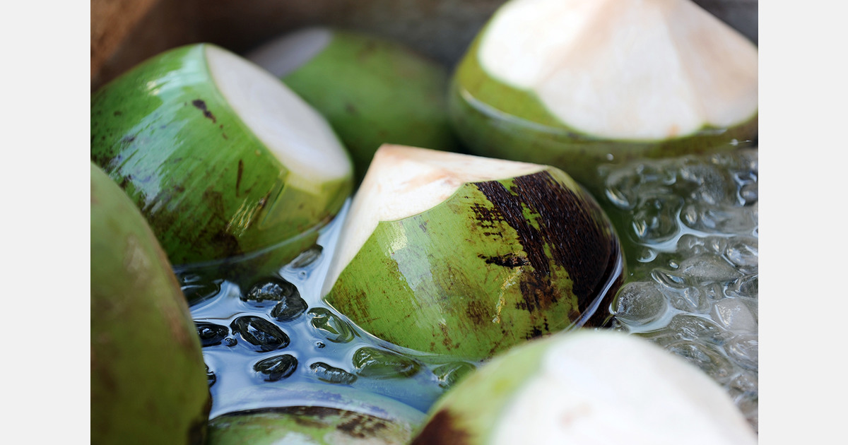 Vietnamese coconuts gain export momentum despite persistent hurdle
