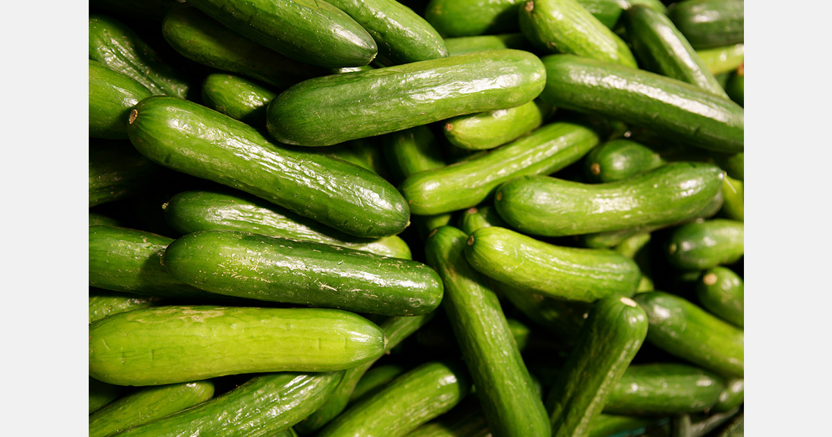 Cucumber-linked Salmonella outbreak reaches 100 cases across 23 U.S. states