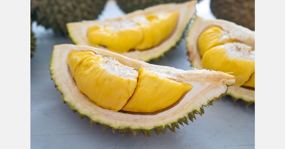 Davao region tops Philippine durian production, aims for global market ...