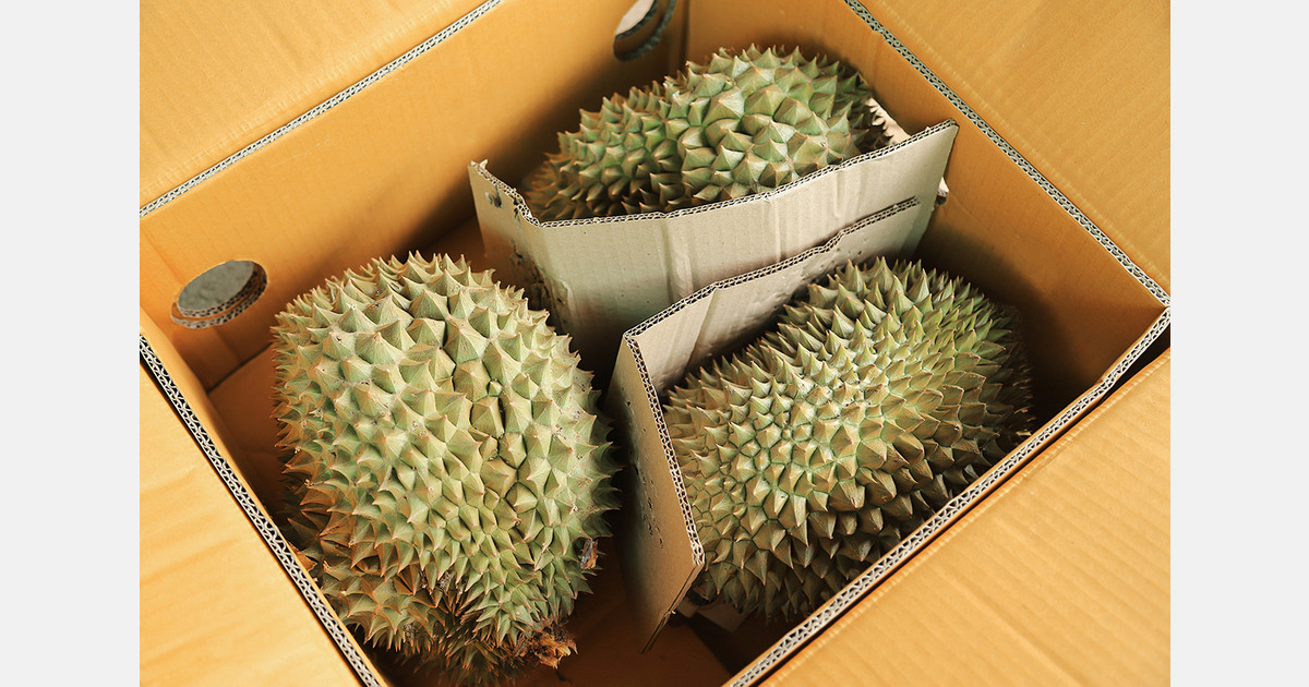 Vietnamese durian prices hit 10-year low