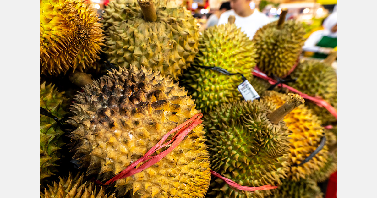 National durian industry summit to boost Philippines' global market ...