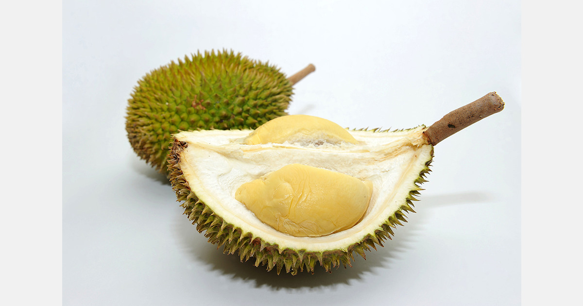 Durian exports boost Johor's economy