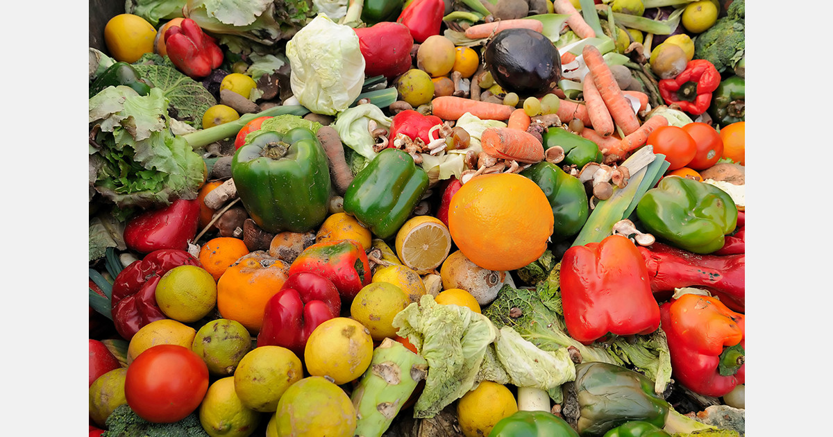 Uzbekistan earned $1.5 Billion from fruit and vegetable exports