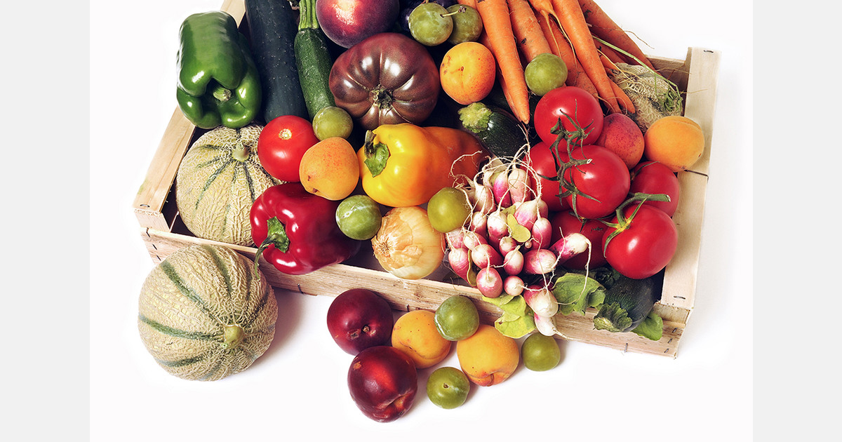 Uzbekistan exported fruits and vegetables worth over $175M