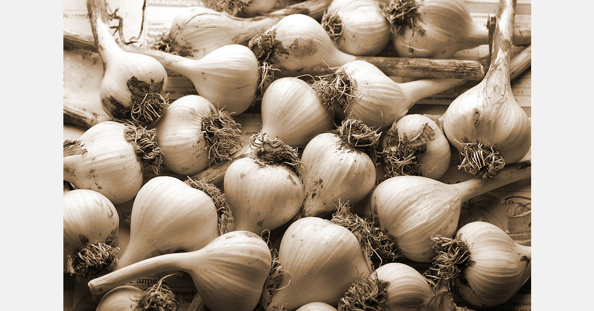 Brazil renews tariffs on garlic imports from China